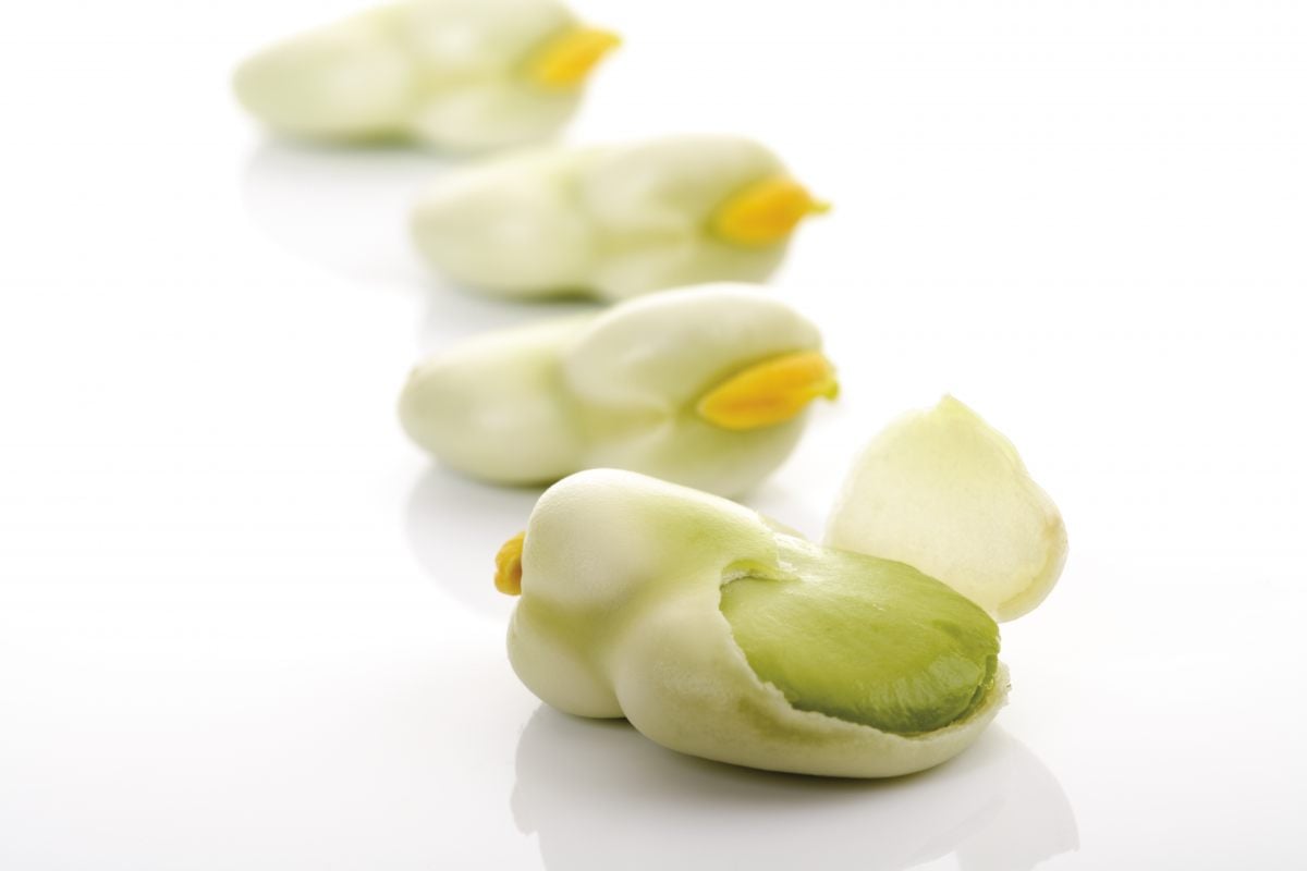 Dérober - Glossaire culinaire | Académie du Goût