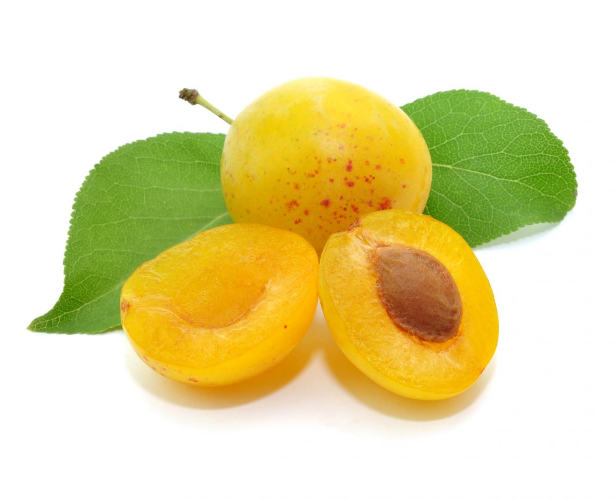 Recettes à base de Mirabelle - Académie du Goût