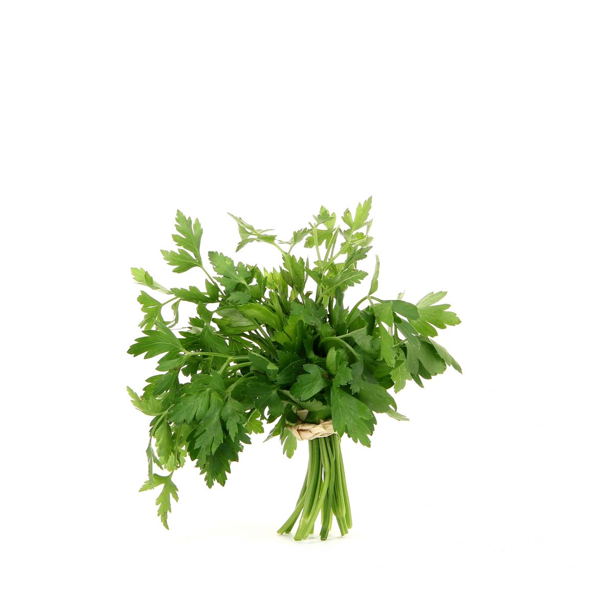 Persil (épices, huiles et condiments) - Académie du Goût