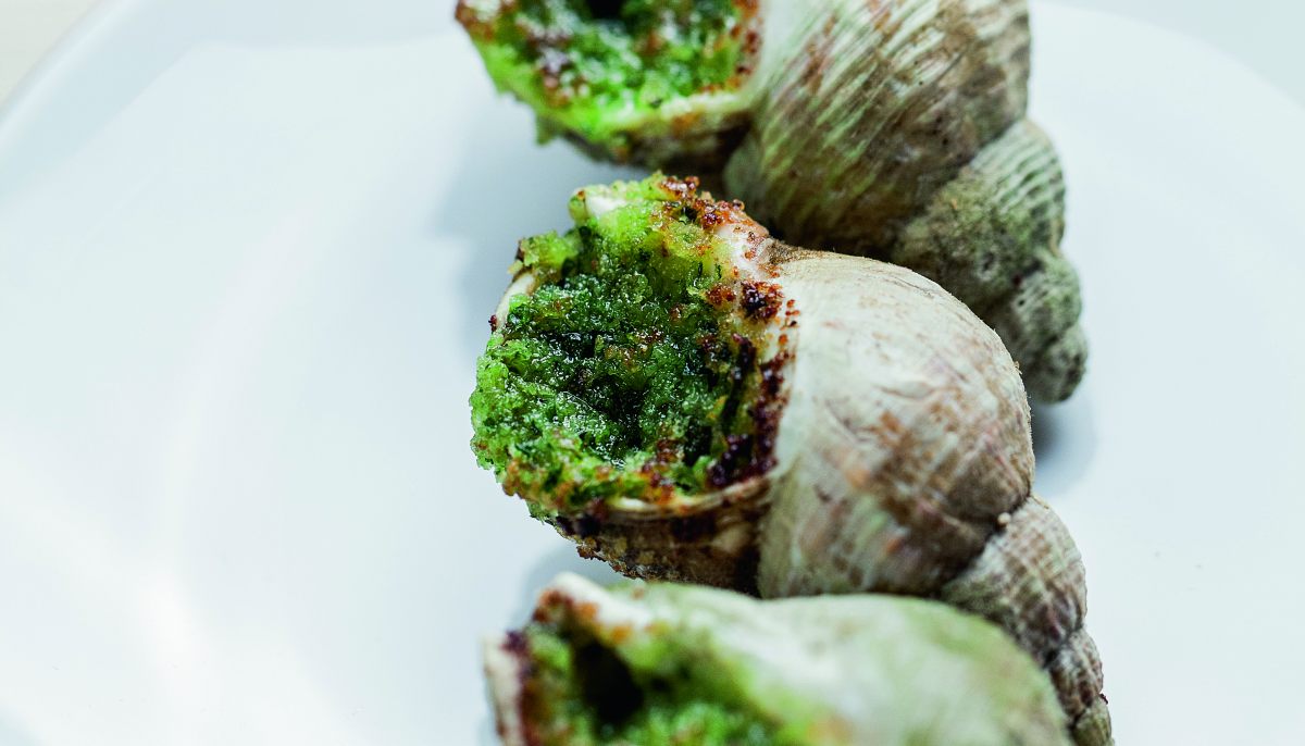 Recette de Bulots en persillade par Alain Ducasse - Académie du Goût