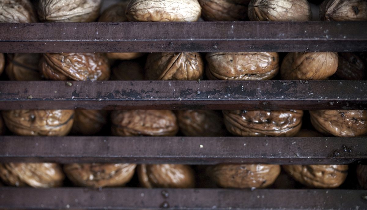 La noix de Grenoble : un fruit sec bien dans sa coque - Académie du Goût