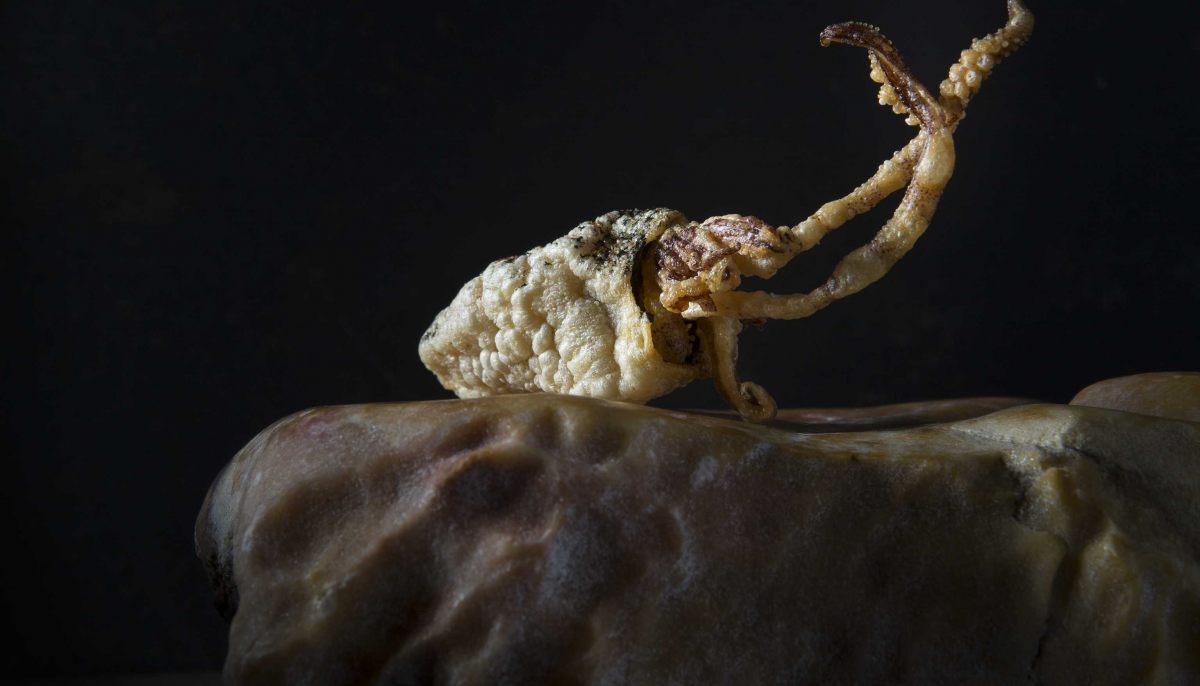 Recette de Chipiron par Mauro Colagreco - Académie du Goût