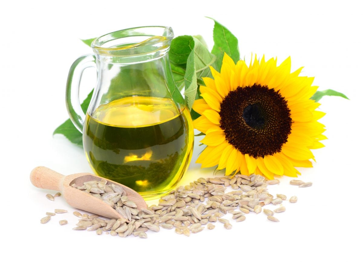 Valeurs Nutritionnelles Des Graines De Tournesol David Graines De