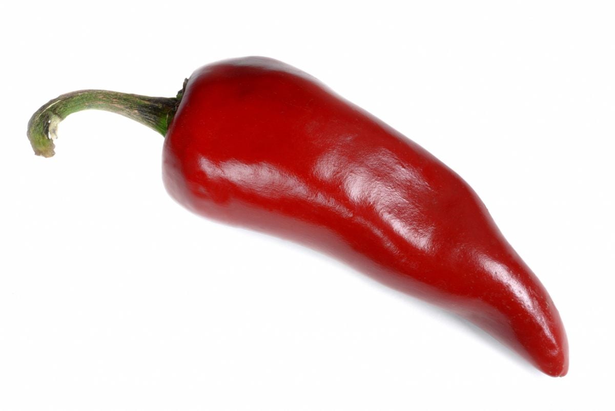 Piment d'Espelette (épices, huiles et condiments) - Académie du Goût