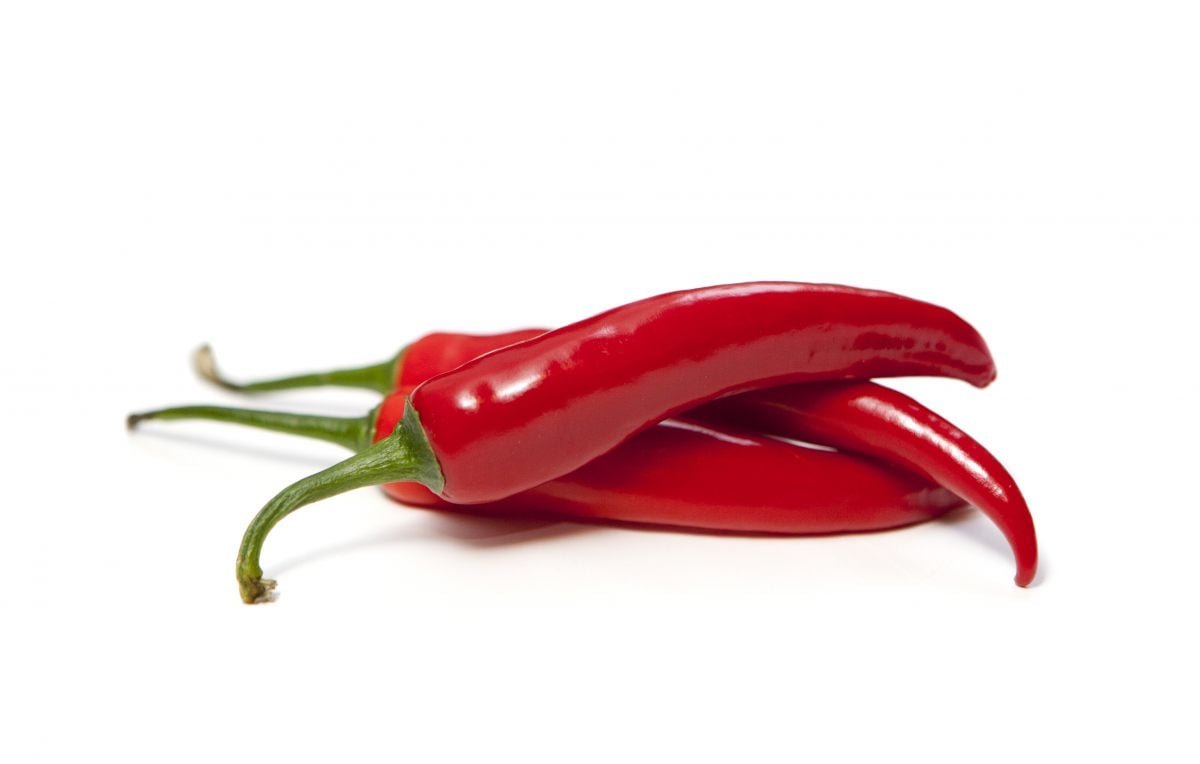 Piment; capsicum