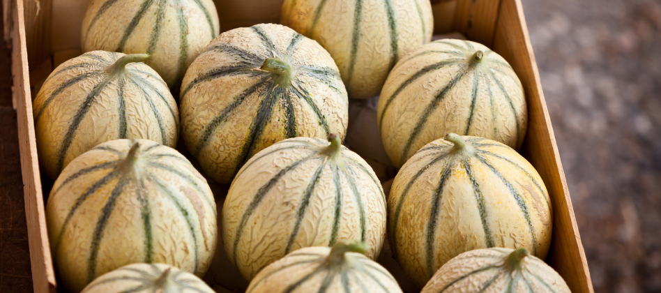Les 3 erreurs à éviter pour bien choisir son melon - Académie du Goût
