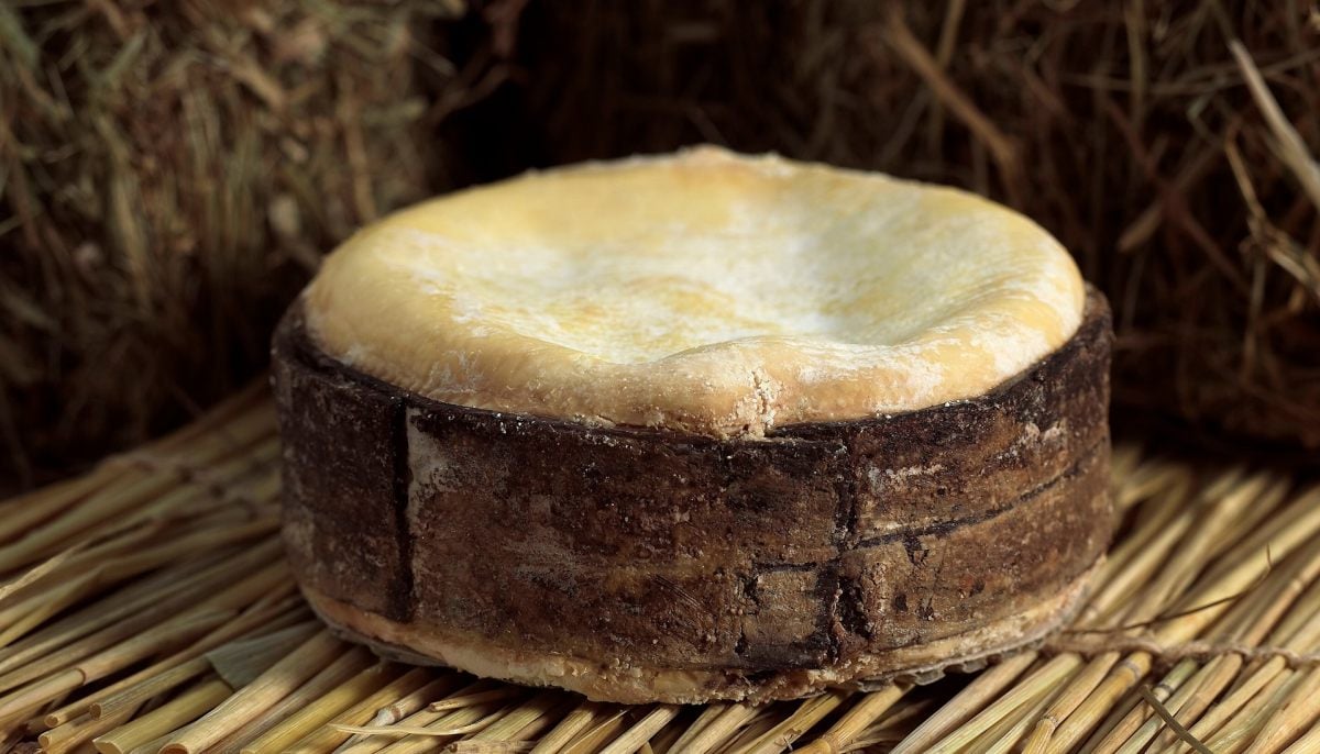 12 recettes de chefs pour faire le plein de fromage - Académie du Goût