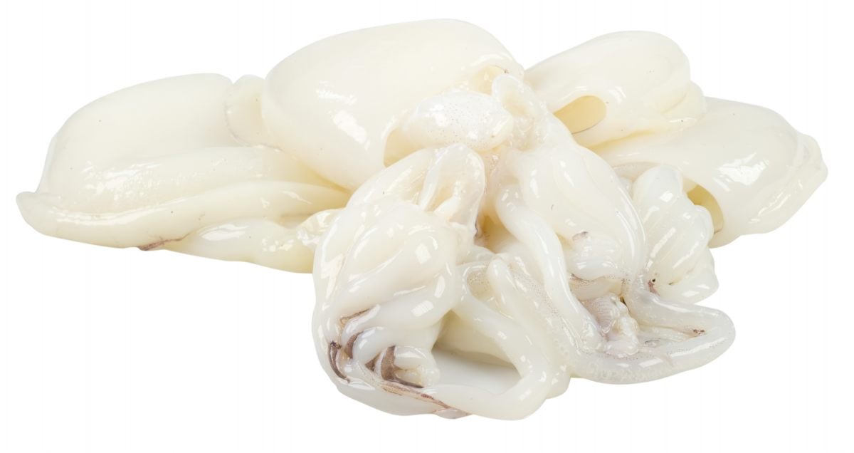 Seiche (poissons et fruits de mer) - Académie du Goût